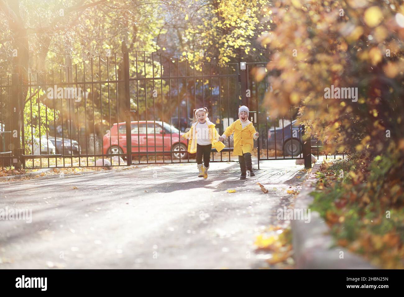 Children walk in the autumn park in the fall Stock Photo - Alamy