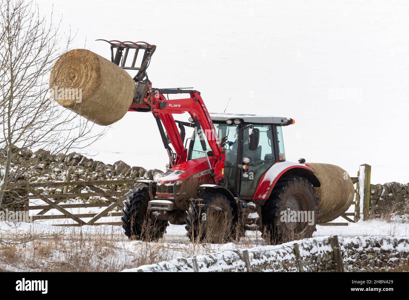 Moving hay bales by tractor in winter, Northumberland, UK Stock Photo ...