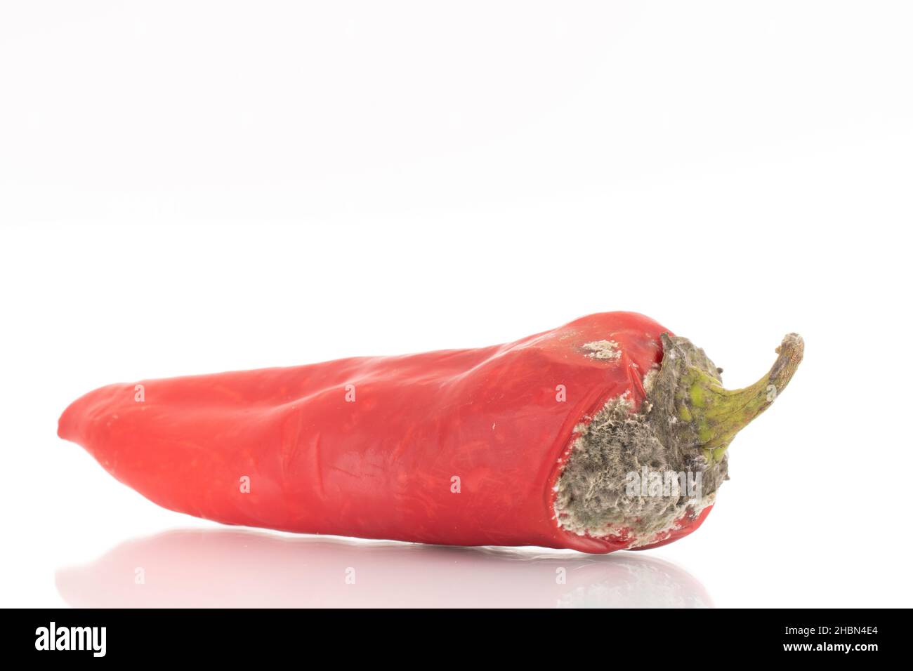 One sweet red pepper with mold, close-up, isolated on white Stock Photo ...