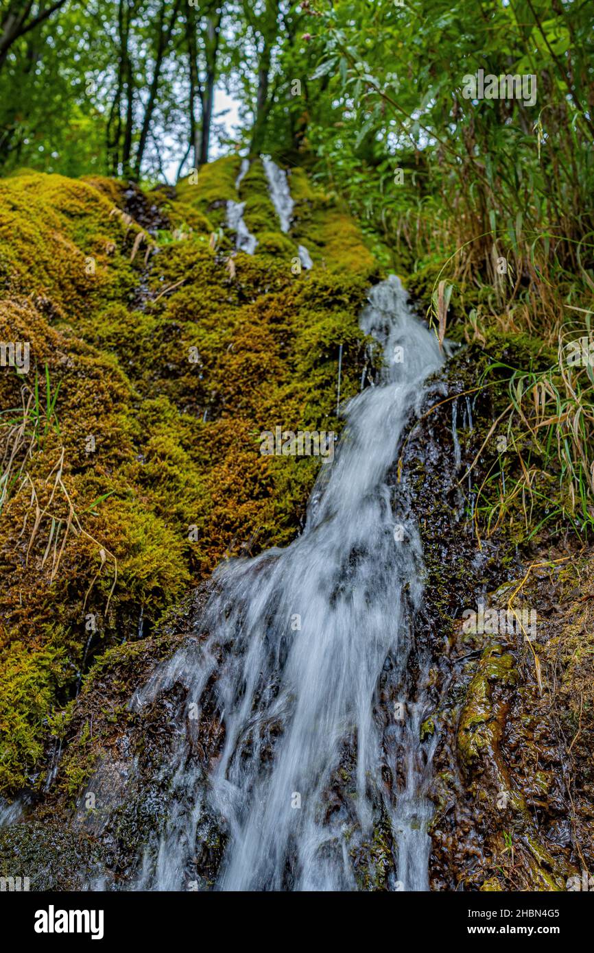 A beautiful scenery of water streaming over a natural green cliff with ...