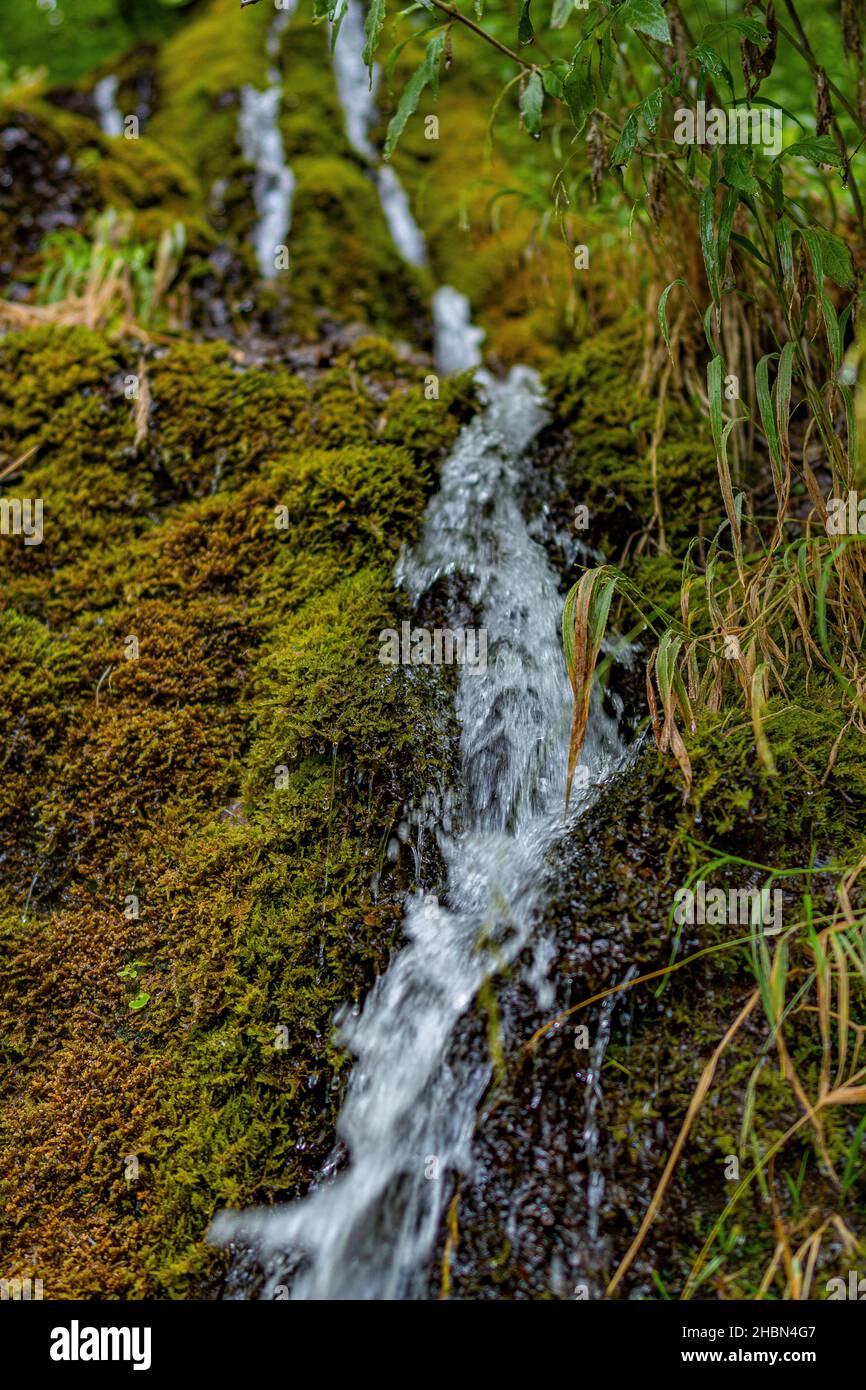 A beautiful scenery of water streaming over a natural green cliff with ...