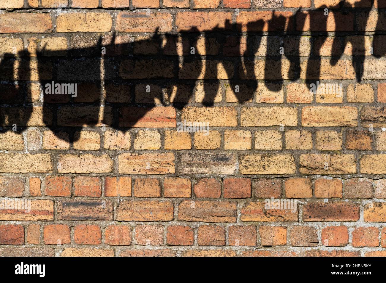 Shadow of washing line, Boulmer, Northumberland, UK Stock Photo - Alamy