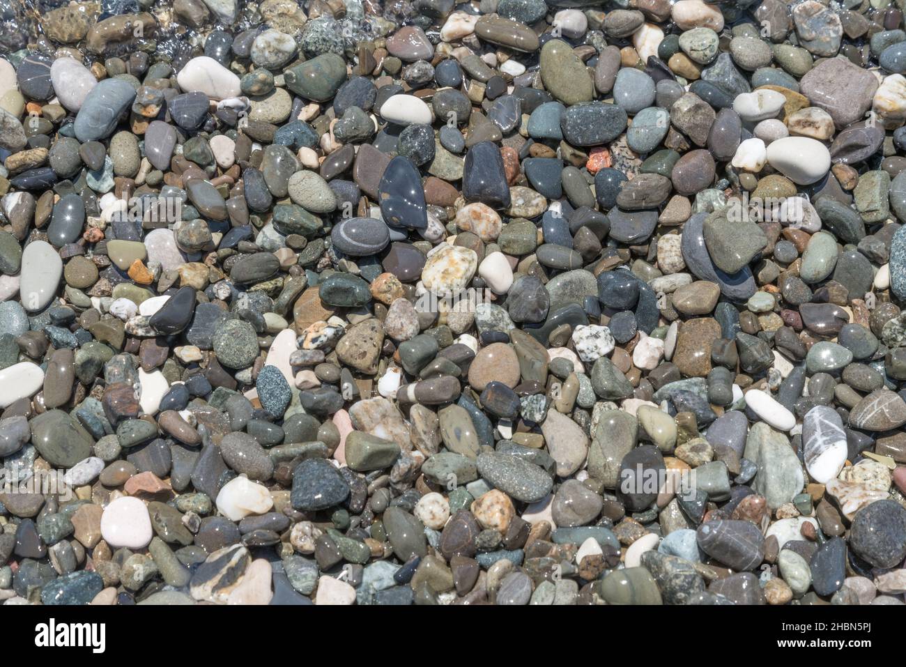 Light grey gravel (Pebble) floor texture, top view Stock Photo - Alamy