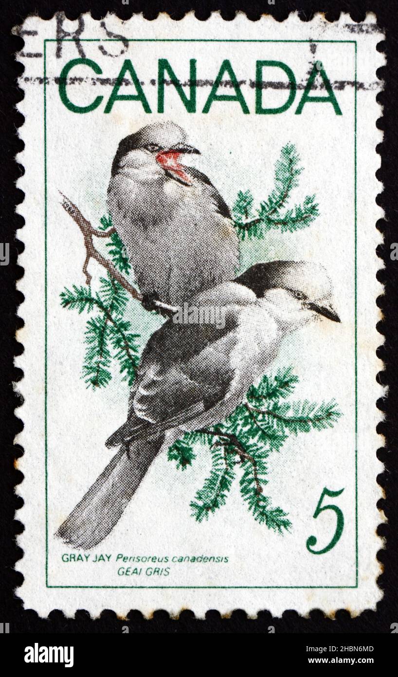 CANADA - CIRCA 1968: a stamp printed in the Canada shows Gray Yay ...