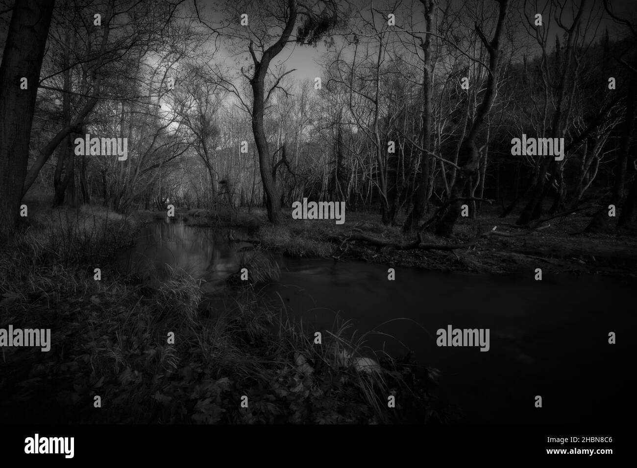 Brook rivulet hi-res stock photography and images - Alamy
