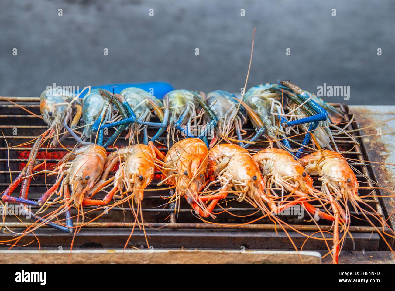 Straight from the shell hi-res stock photography and images - Alamy