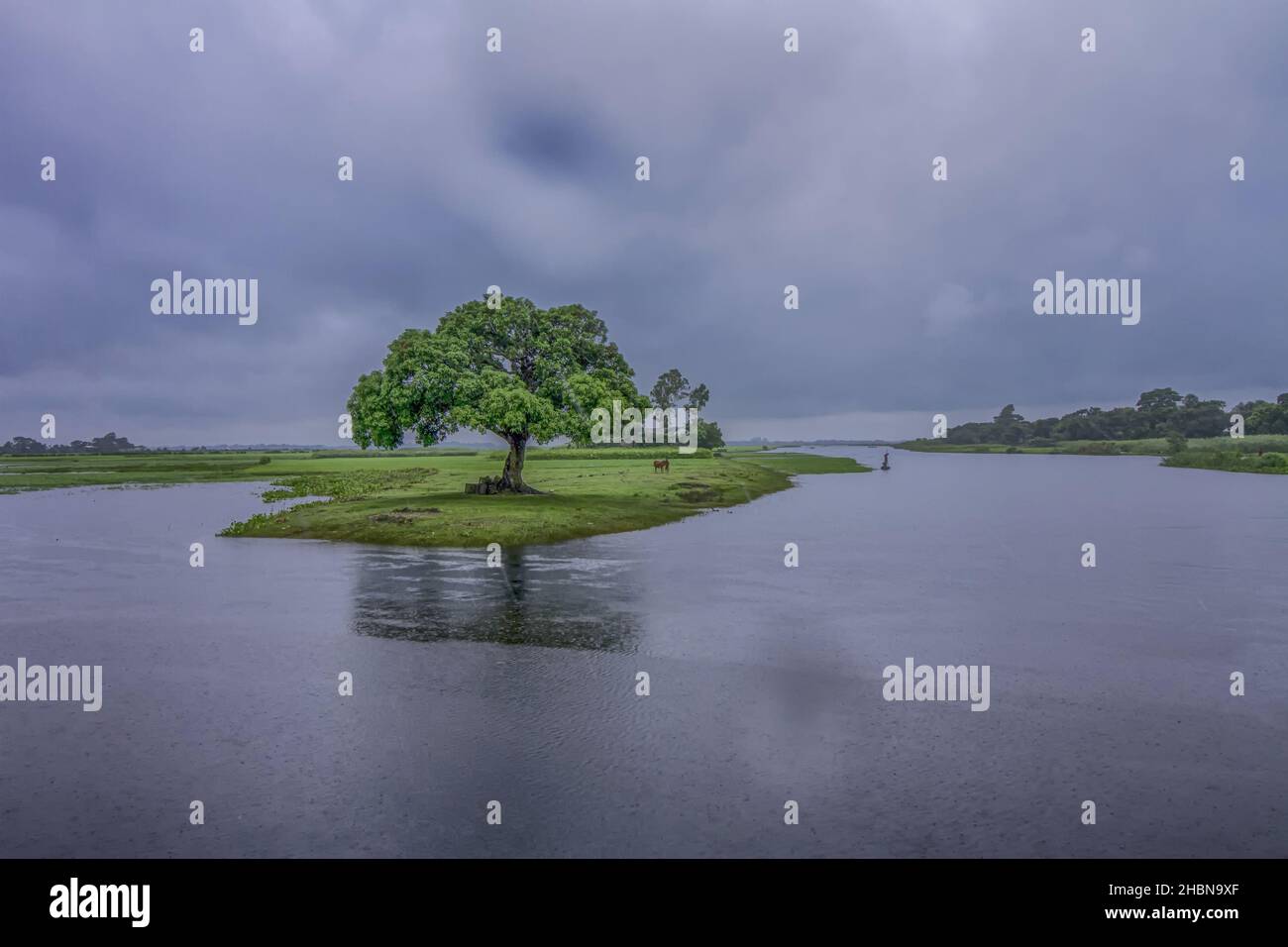 Rainy day in a very beautiful village of Narayanganj, Bangladesh Stock ...