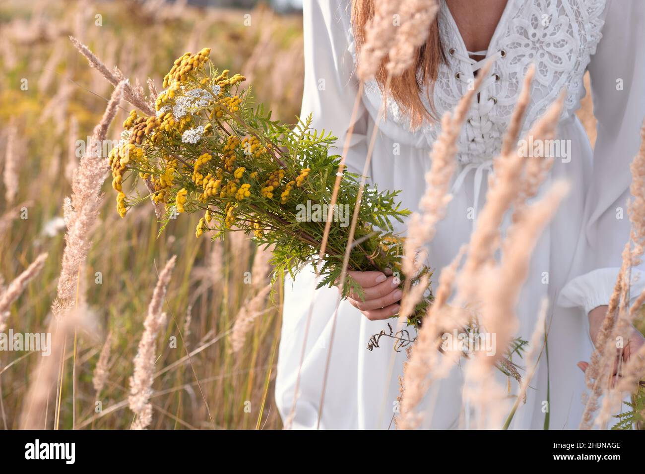 Woman gathering herbs in garden hi-res stock photography and images - Alamy
