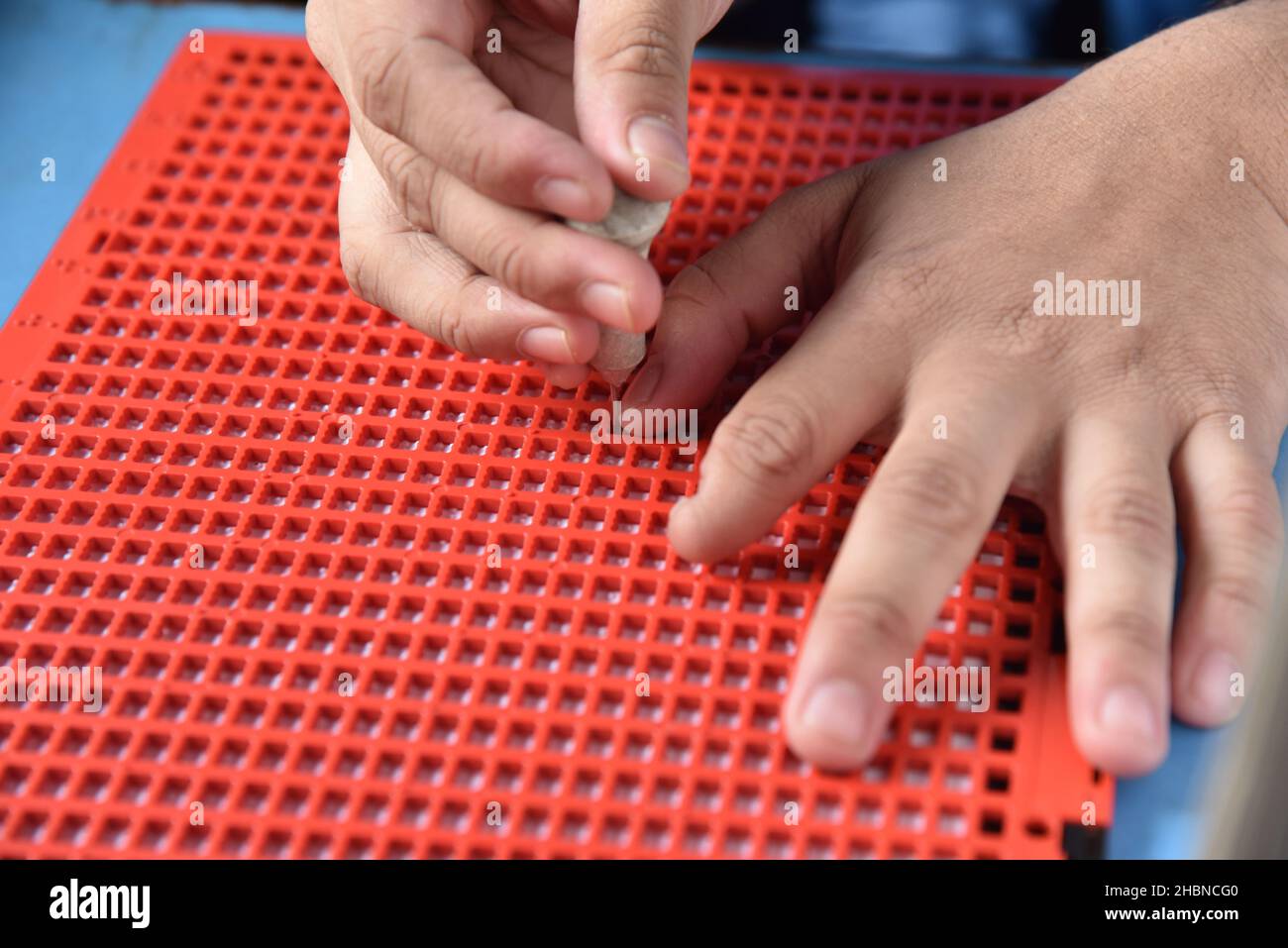 Students learning at the Louis Braille Memorial School located in ...