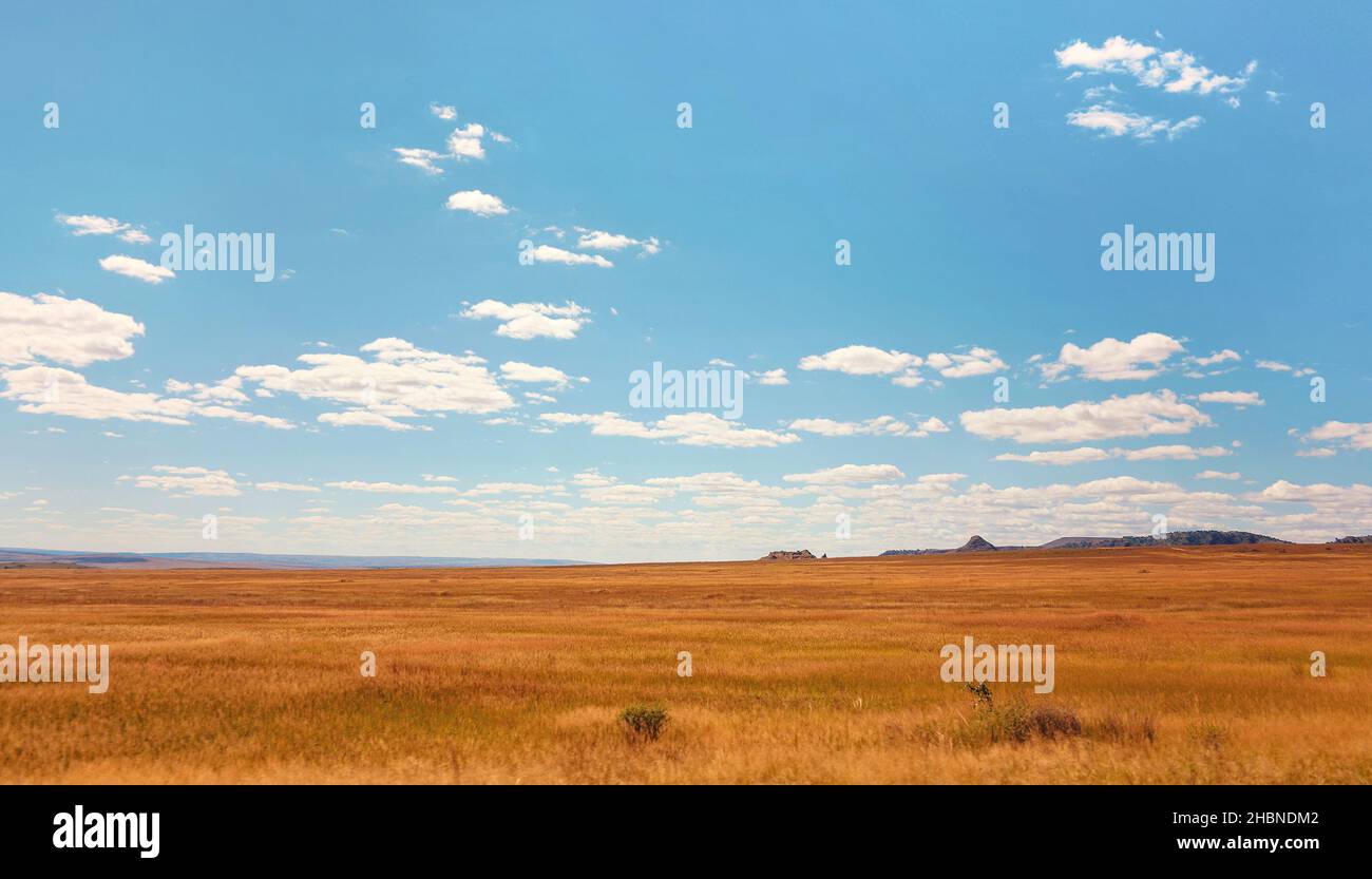 African savanna with few small bushes, mountains in distance - typical ...