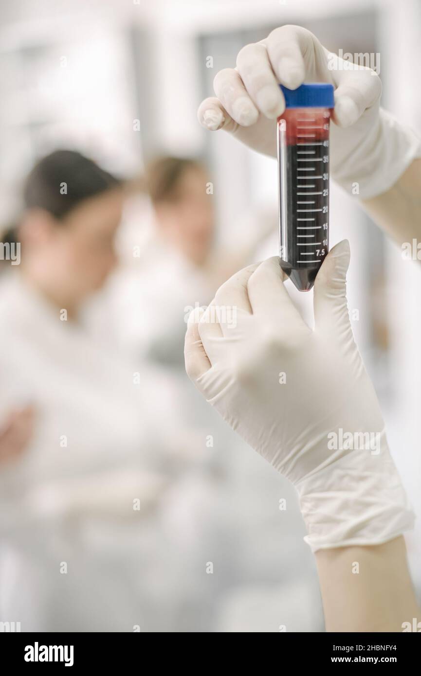 Group of scientists working with liquid test tube samples in laboratory ...