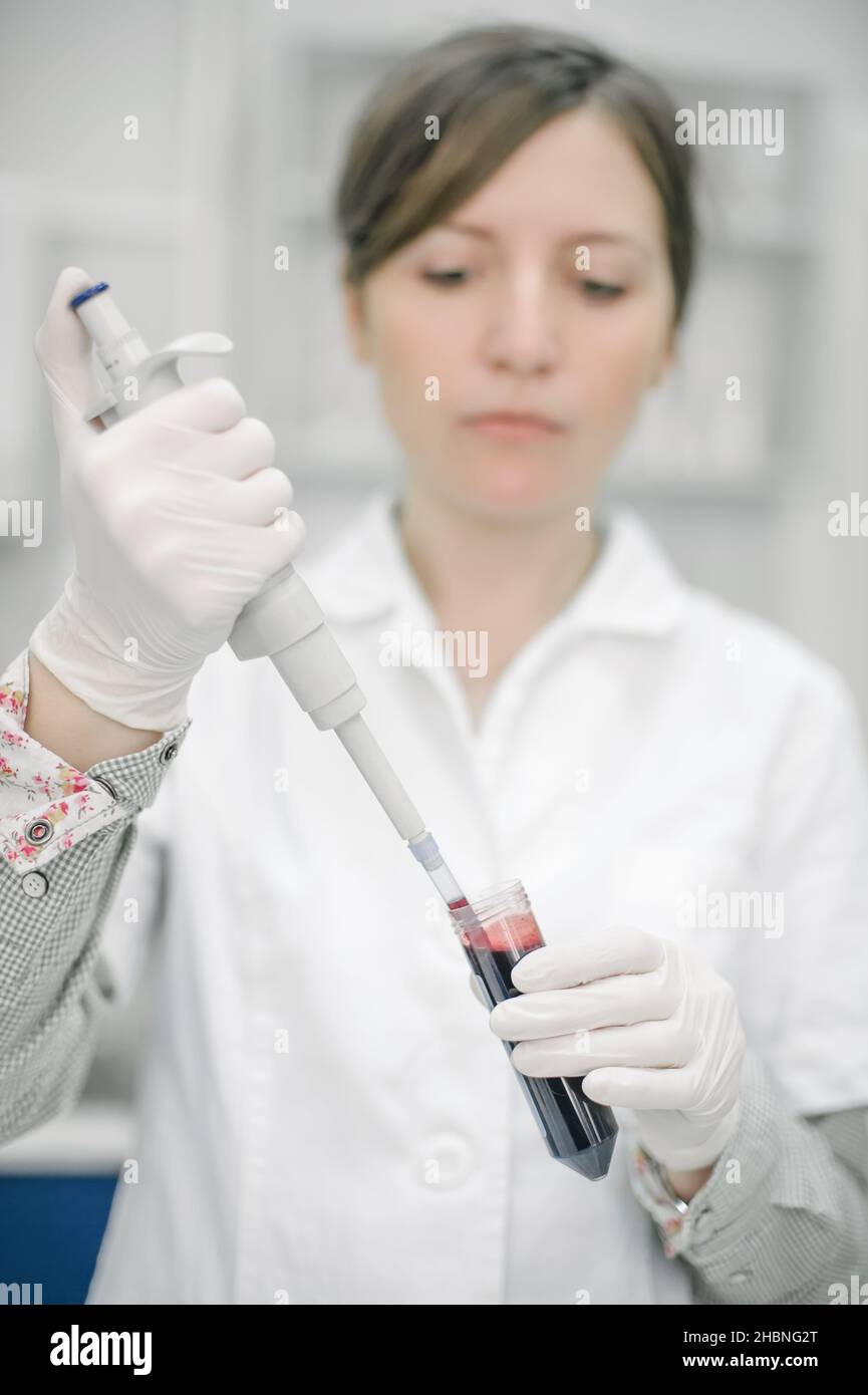 Medical laboratory scientists in the laboratory filling test tubes with ...