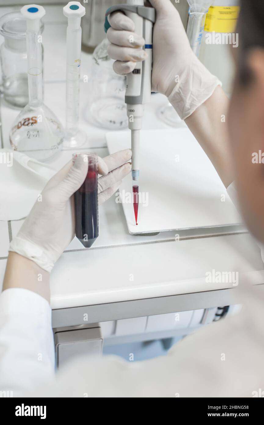 Medical laboratory scientists in the laboratory filling test tubes with ...