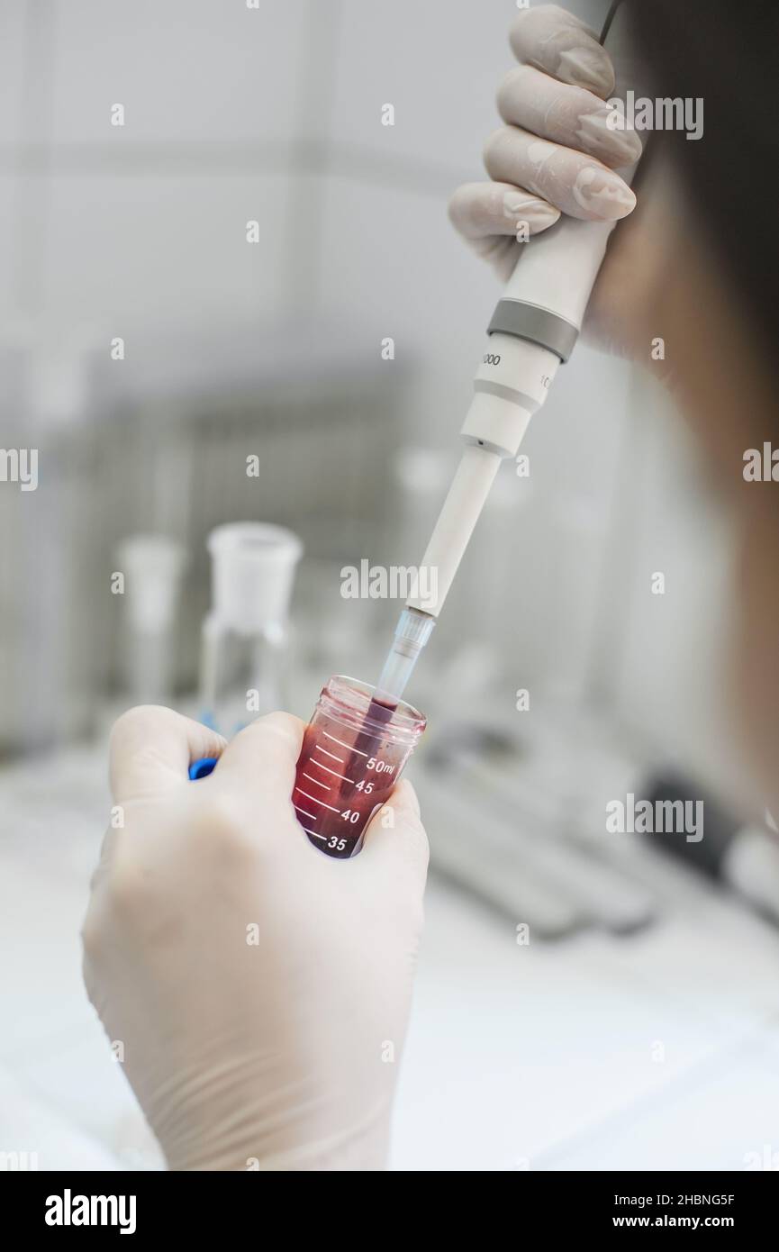 Medical laboratory scientists in the laboratory filling test tubes with ...