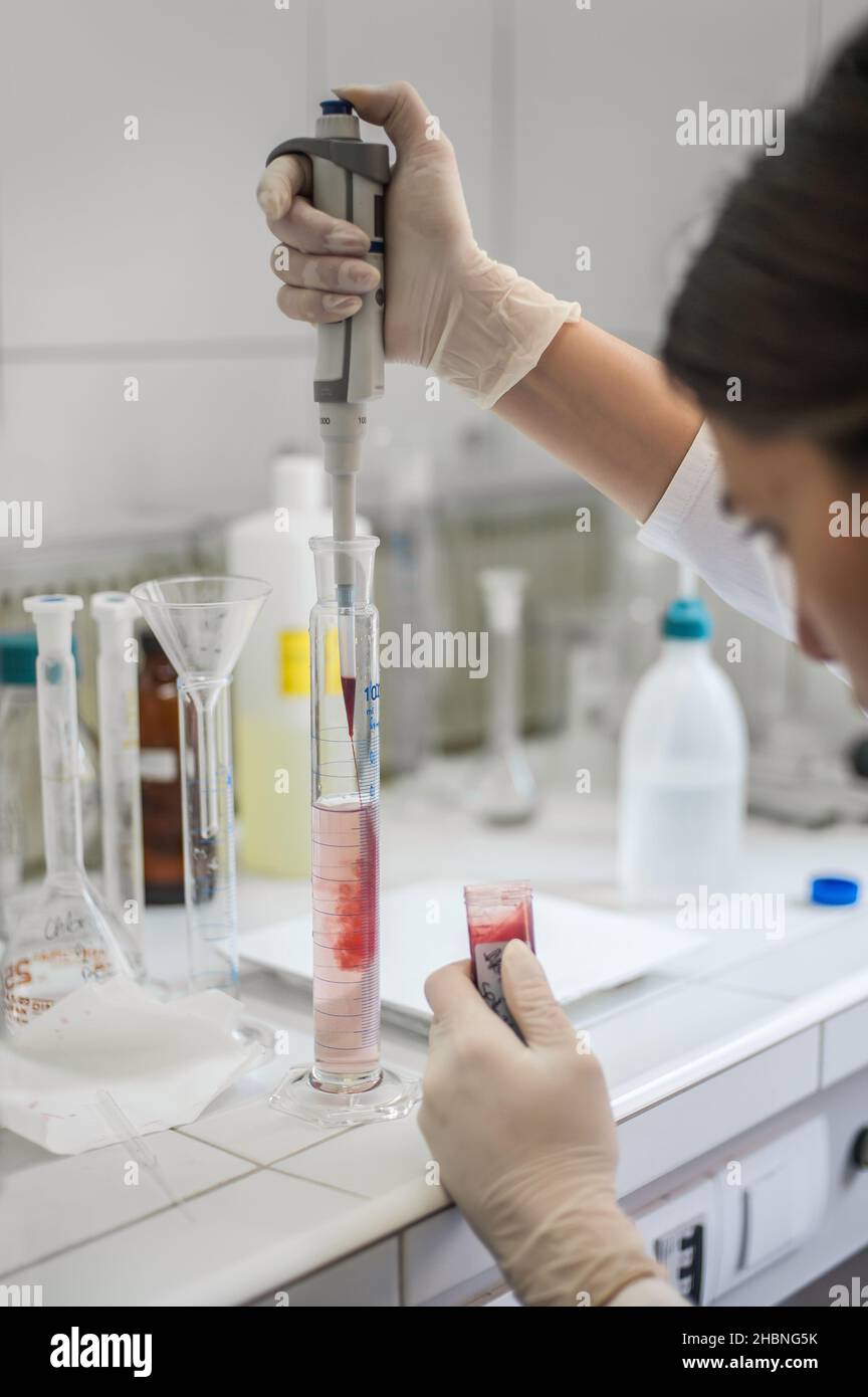Medical laboratory scientists in the laboratory filling test tubes with ...