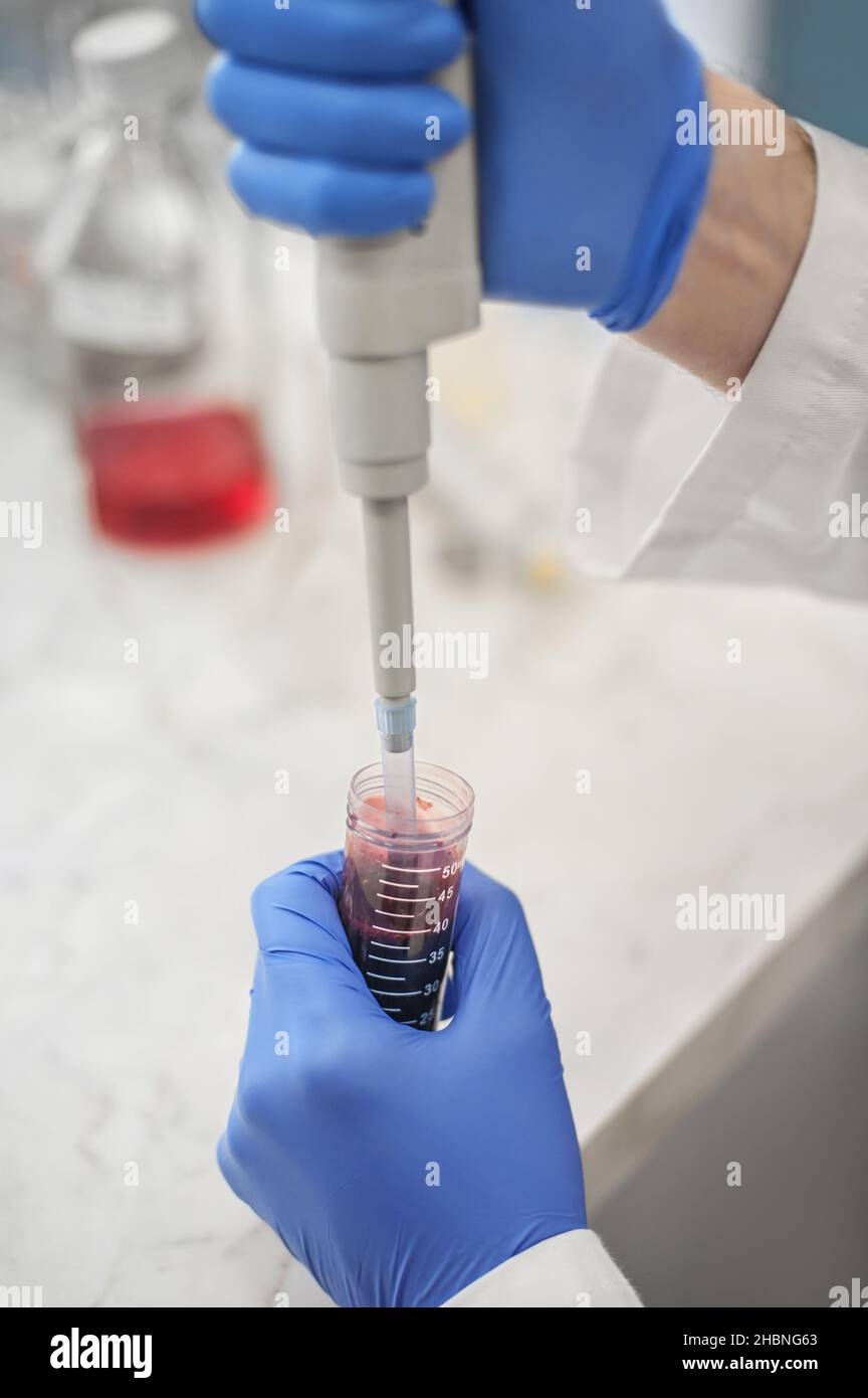 Scientist filling test tubes with pipette in laboratory. Close up Stock ...