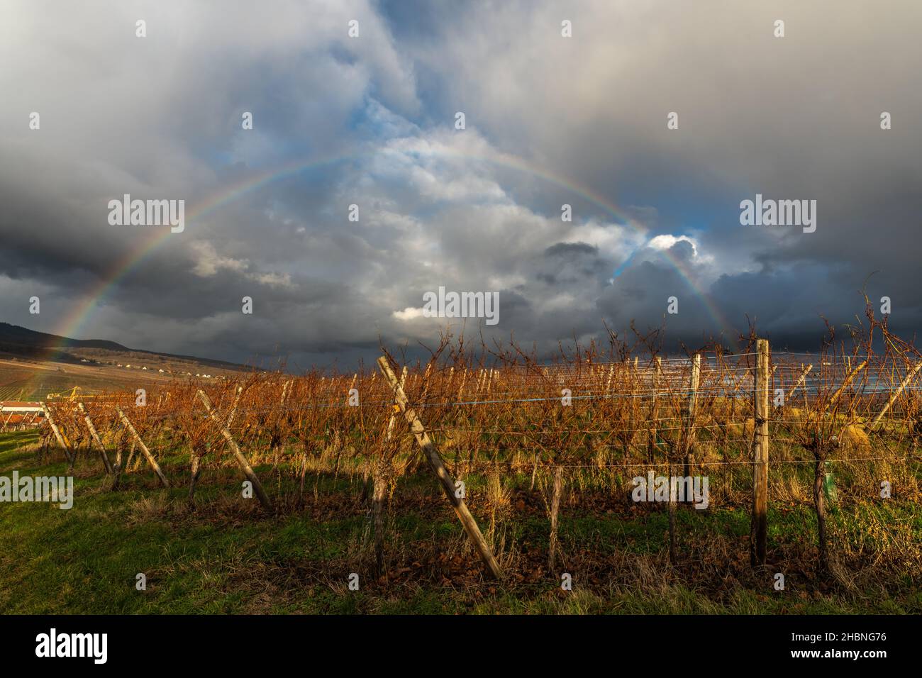 Rainbow in rainy weather in late fall. Wine route in Alsace Stock Photo ...