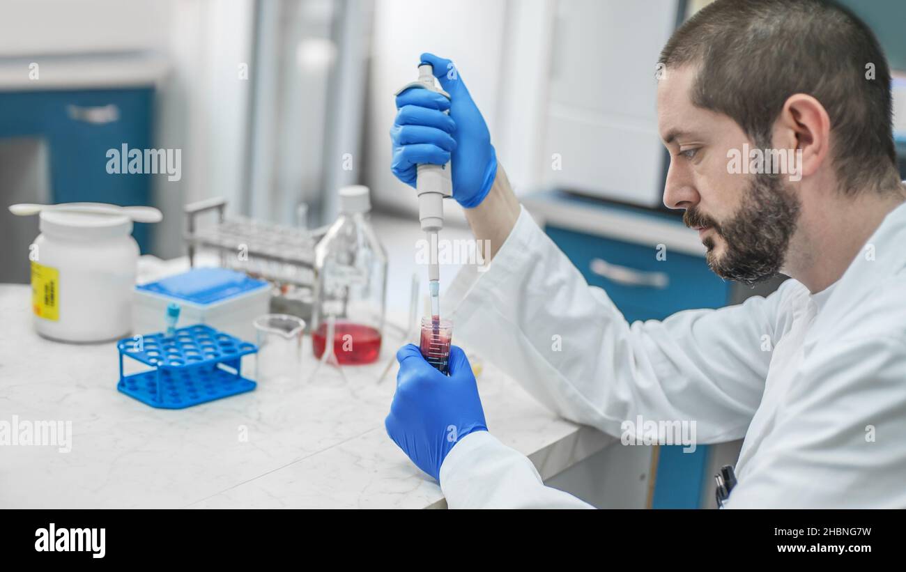 Scientist filling test tubes with pipette in laboratory. Close up Stock ...