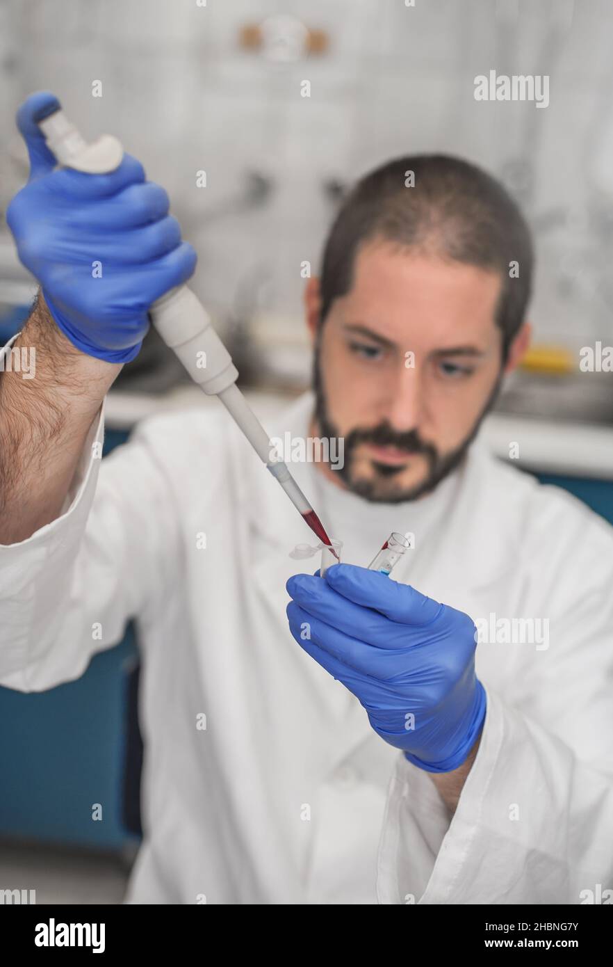 Macro scientist analyzing pipette liquid hi-res stock photography and ...