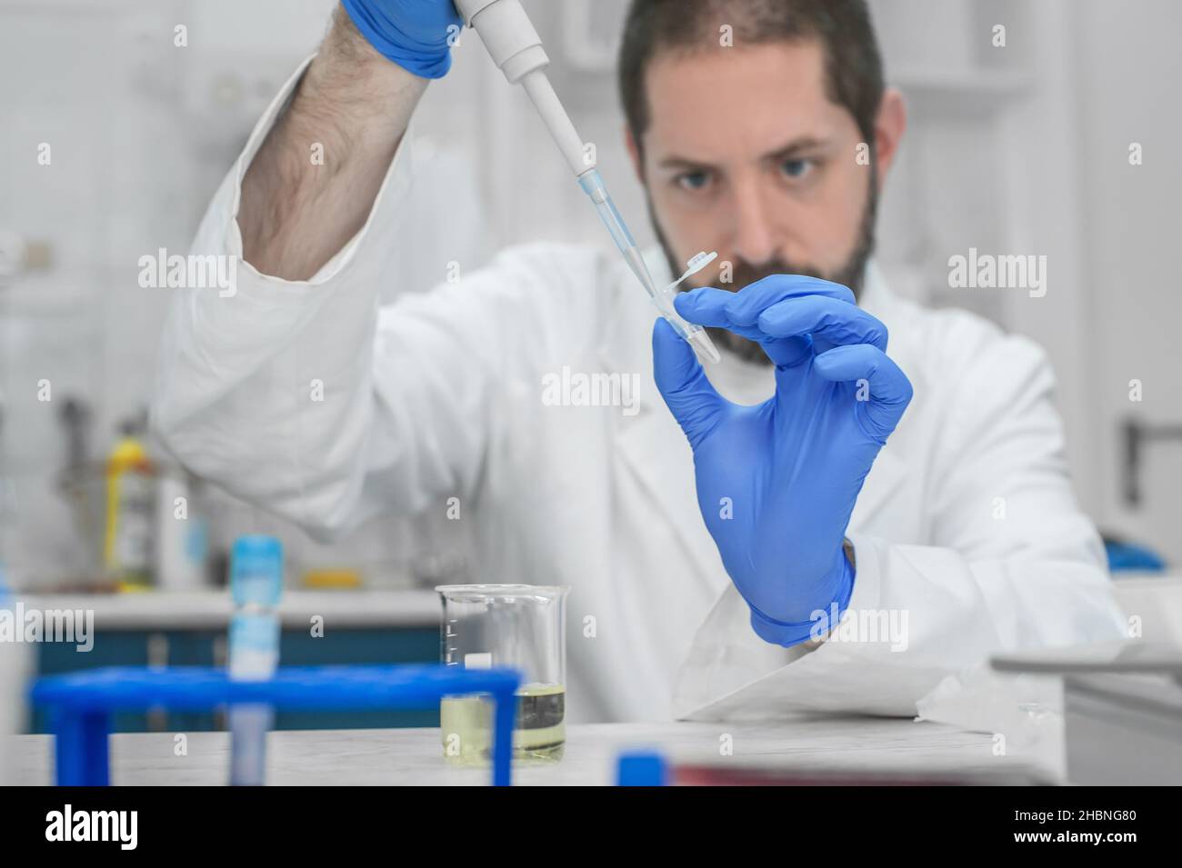 Scientist filling test tubes with pipette in laboratory. Close up Stock ...