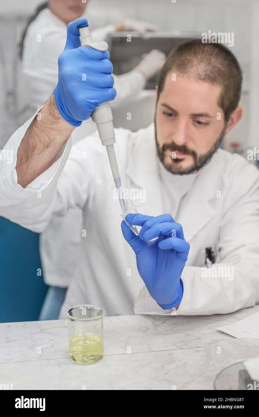 Two scientists in the laboratory filling test tubes with pipette. Close ...