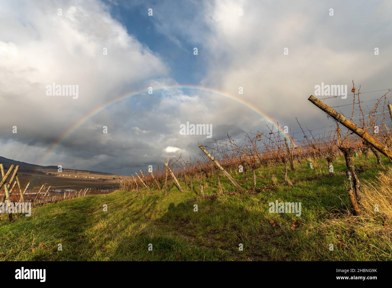 Rainbow in rainy weather in late fall. Wine route in Alsace Stock Photo ...