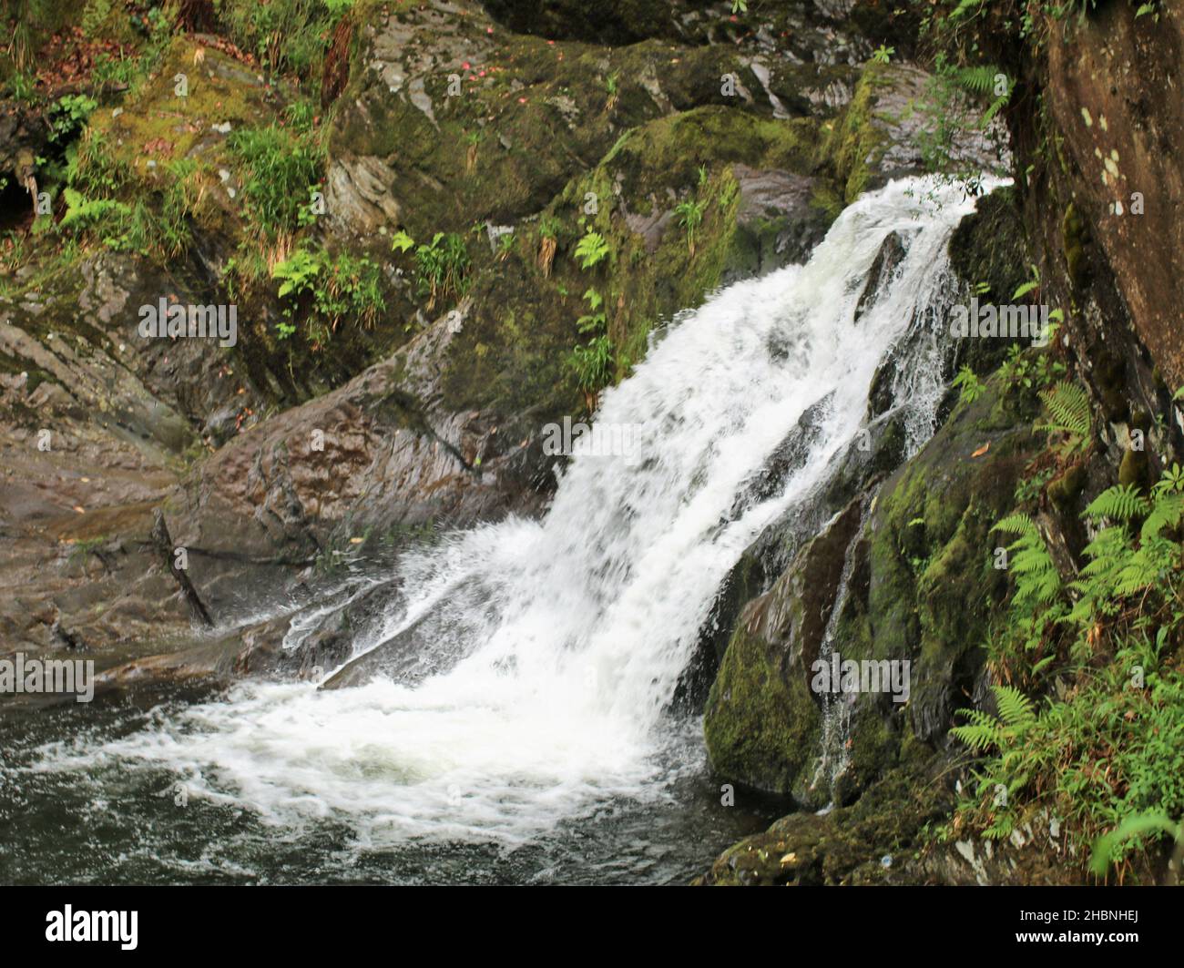 A beautiful view of a waterfall in the forest Stock Photo - Alamy