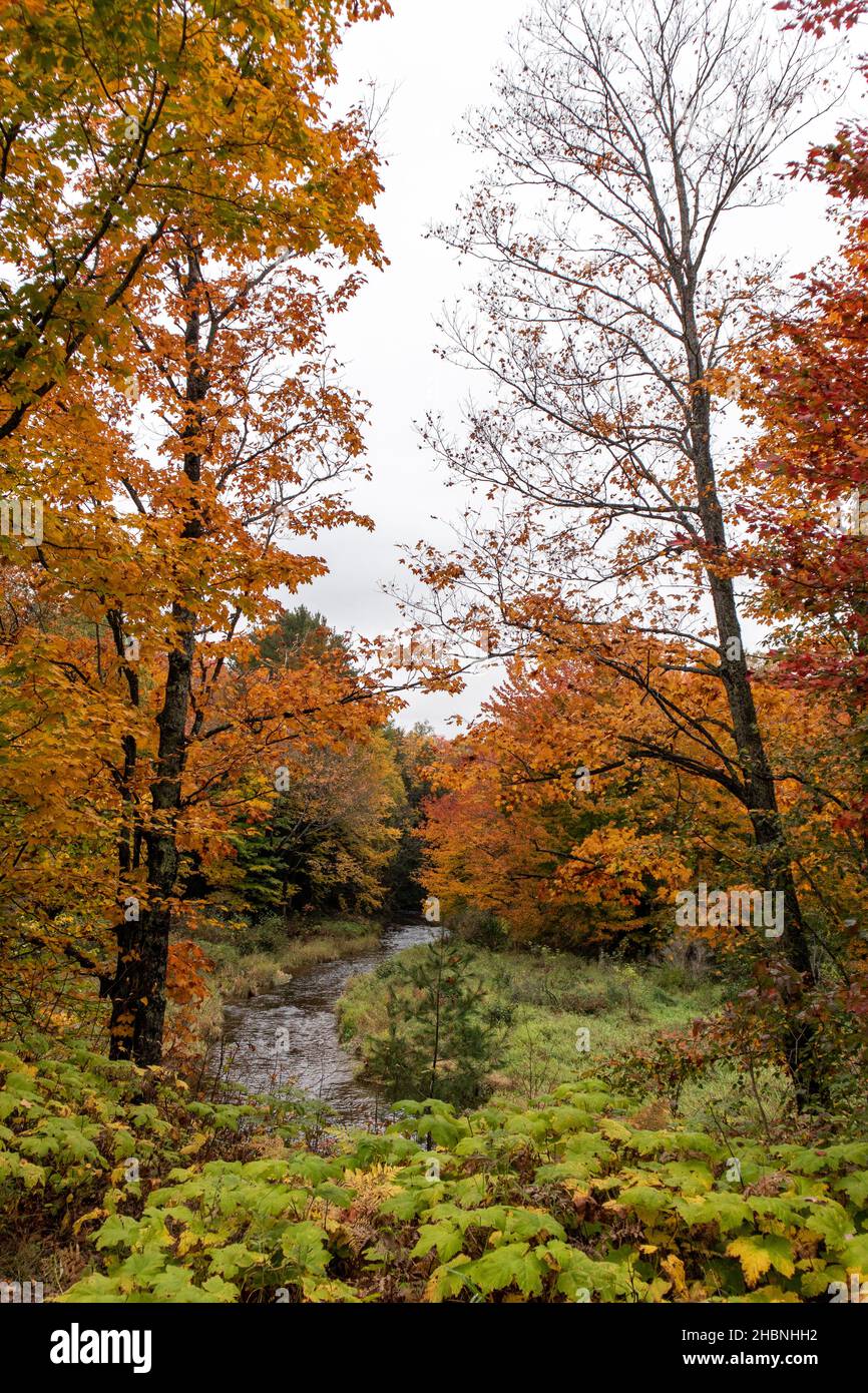 Fall Pilgrim River - Houghton, Michigan - October 2021 Stock Photo - Alamy