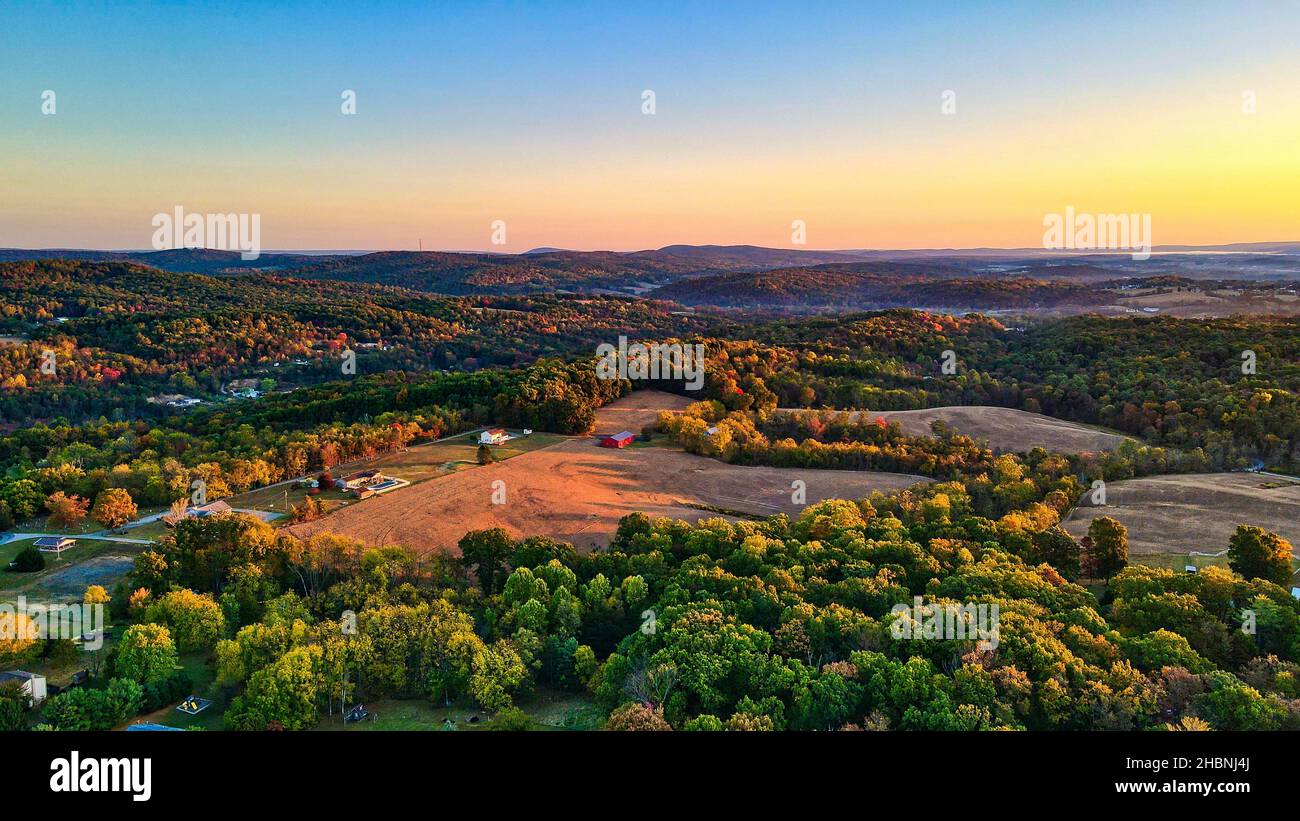 A beautiful view of green forest in the evening Stock Photo - Alamy