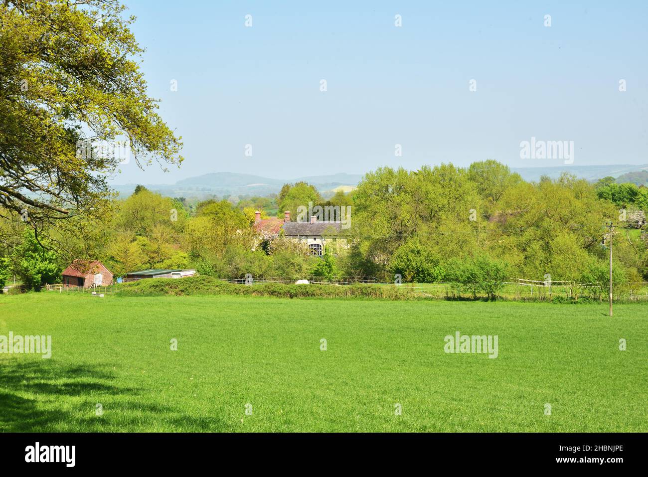 Fiddleford dorset hi-res stock photography and images - Alamy