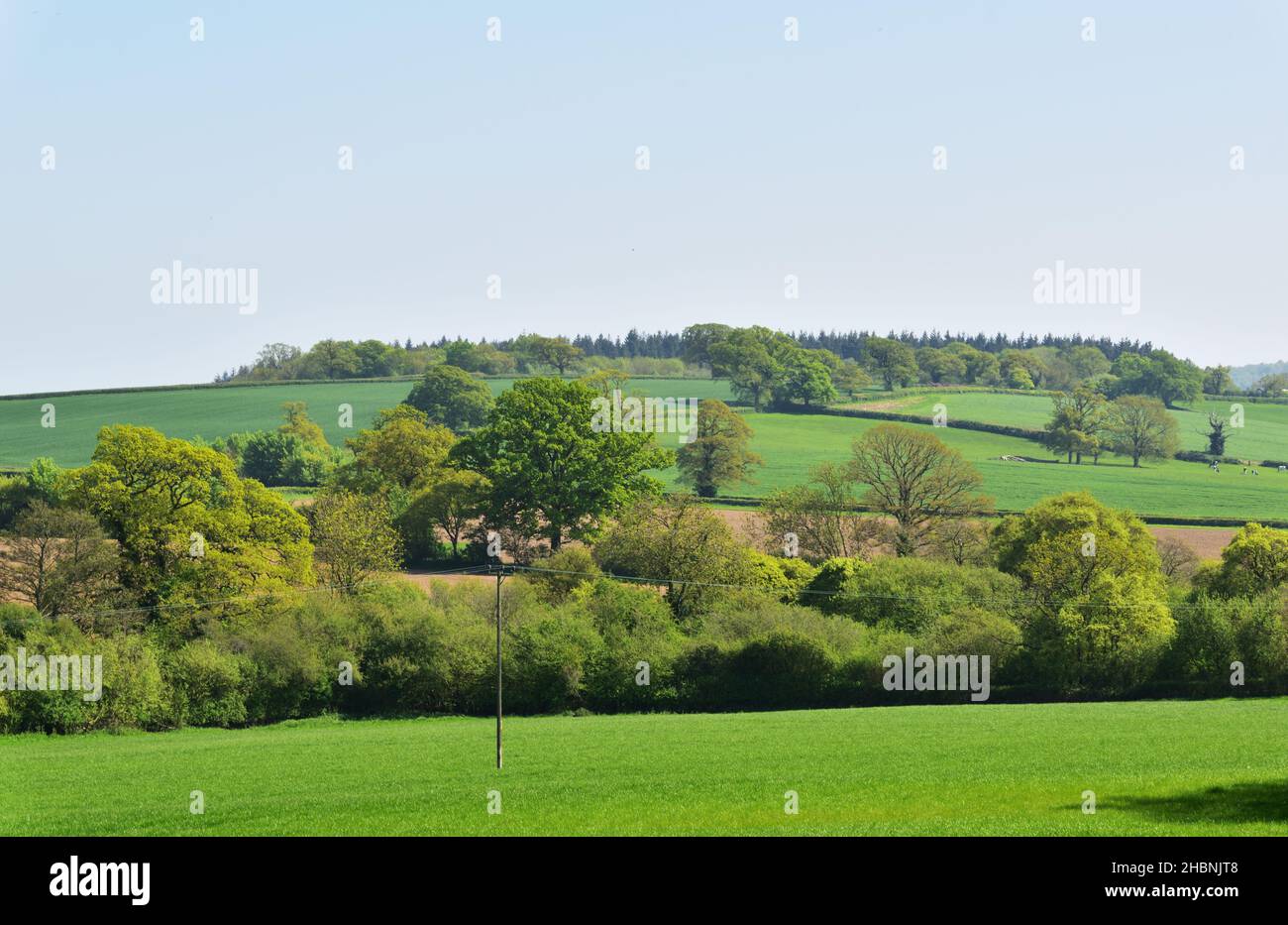 Fiddleford dorset hi-res stock photography and images - Alamy