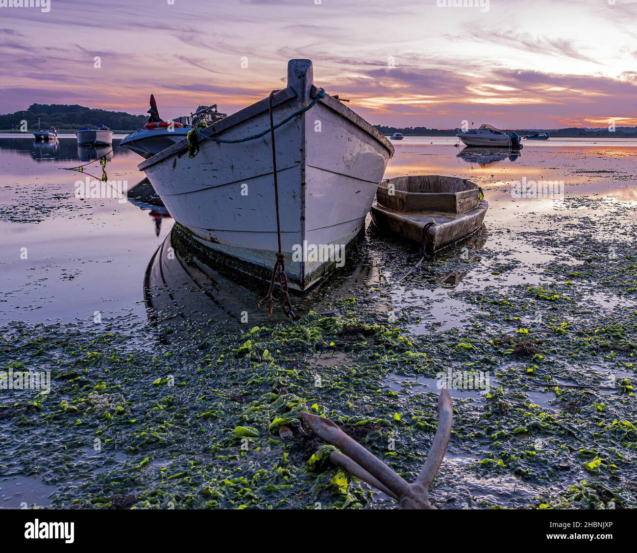 A view of a boat in the dirty water overgrown with algae Stock Photo ...