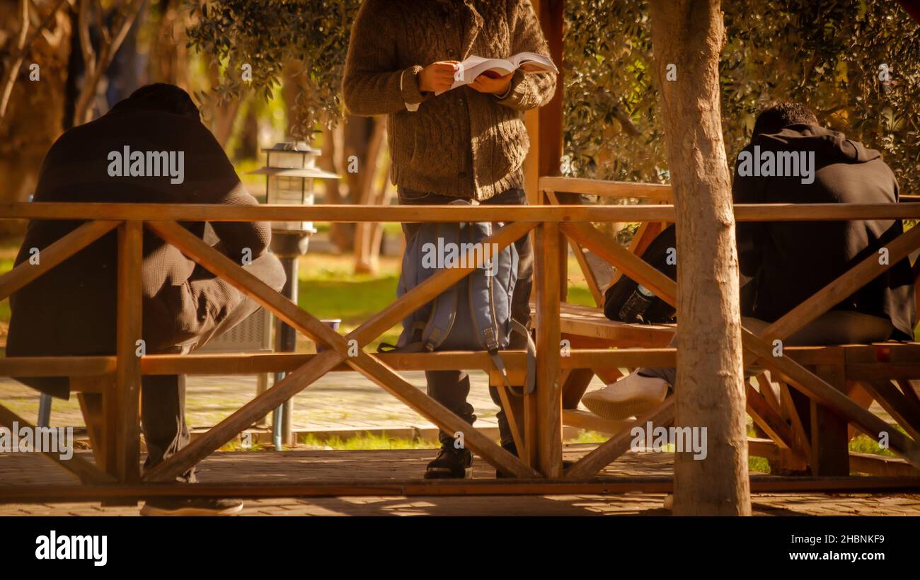 Students repeating lessons in the garden before the exam Stock Photo ...