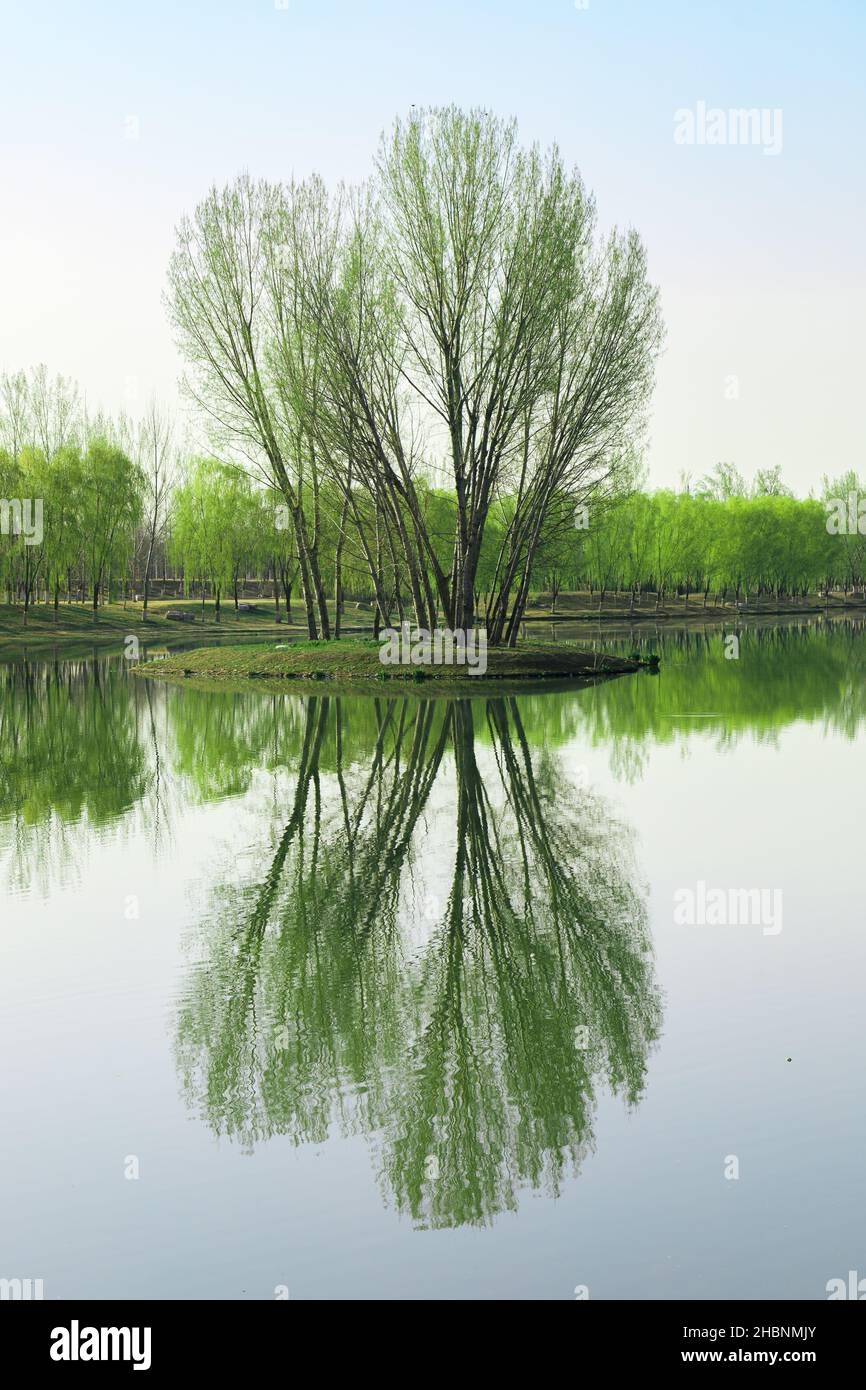 China Beijing Summer Palace misty lake and tree view Stock Photo - Alamy
