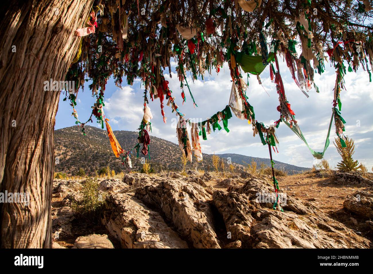 A multicolored traditional wish tree in the village of Tekke Stock ...