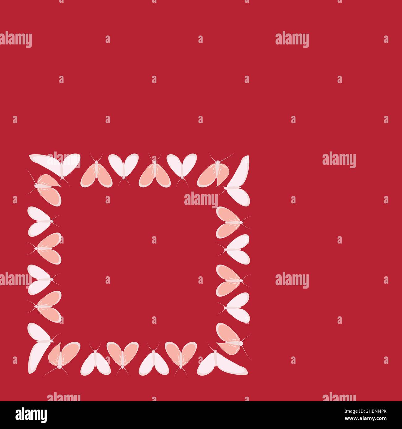 Frames on a square background - stylized moths - graphics. Flight ...