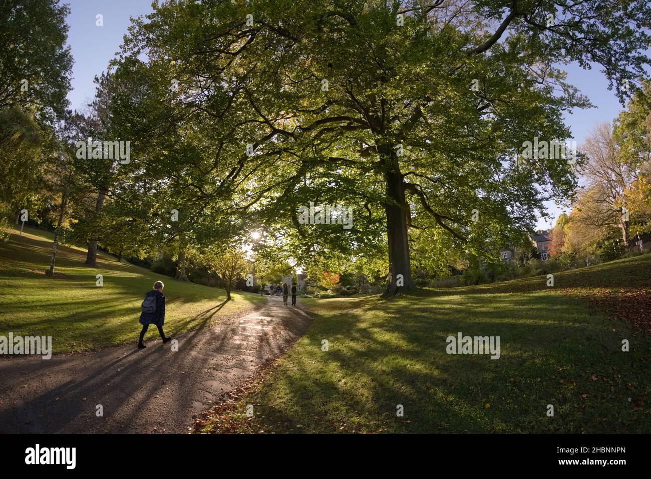 Sheffield, United Kingdom, 21st October, 2021: Woman wearing coat and ...