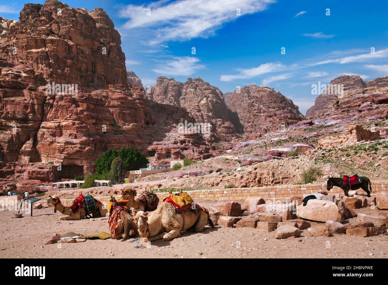 The impressive ruins of Petra, the stone-carved city in Jordan Stock ...