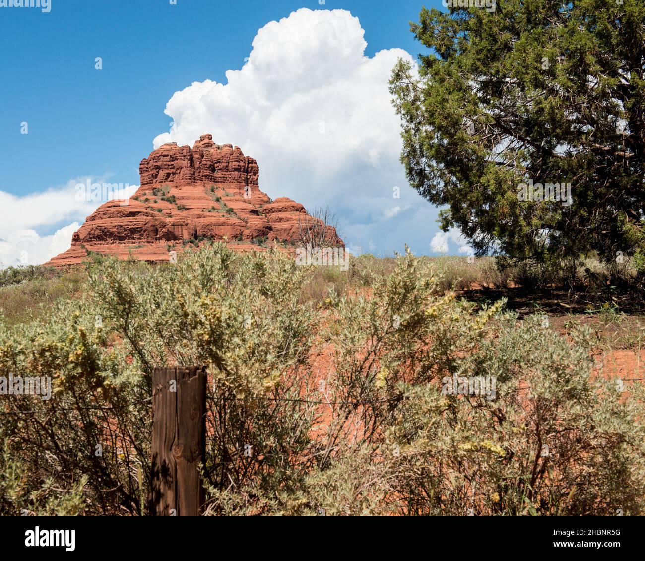 The red rock mountain in Coconino National Forest, Arizona, USA Stock ...