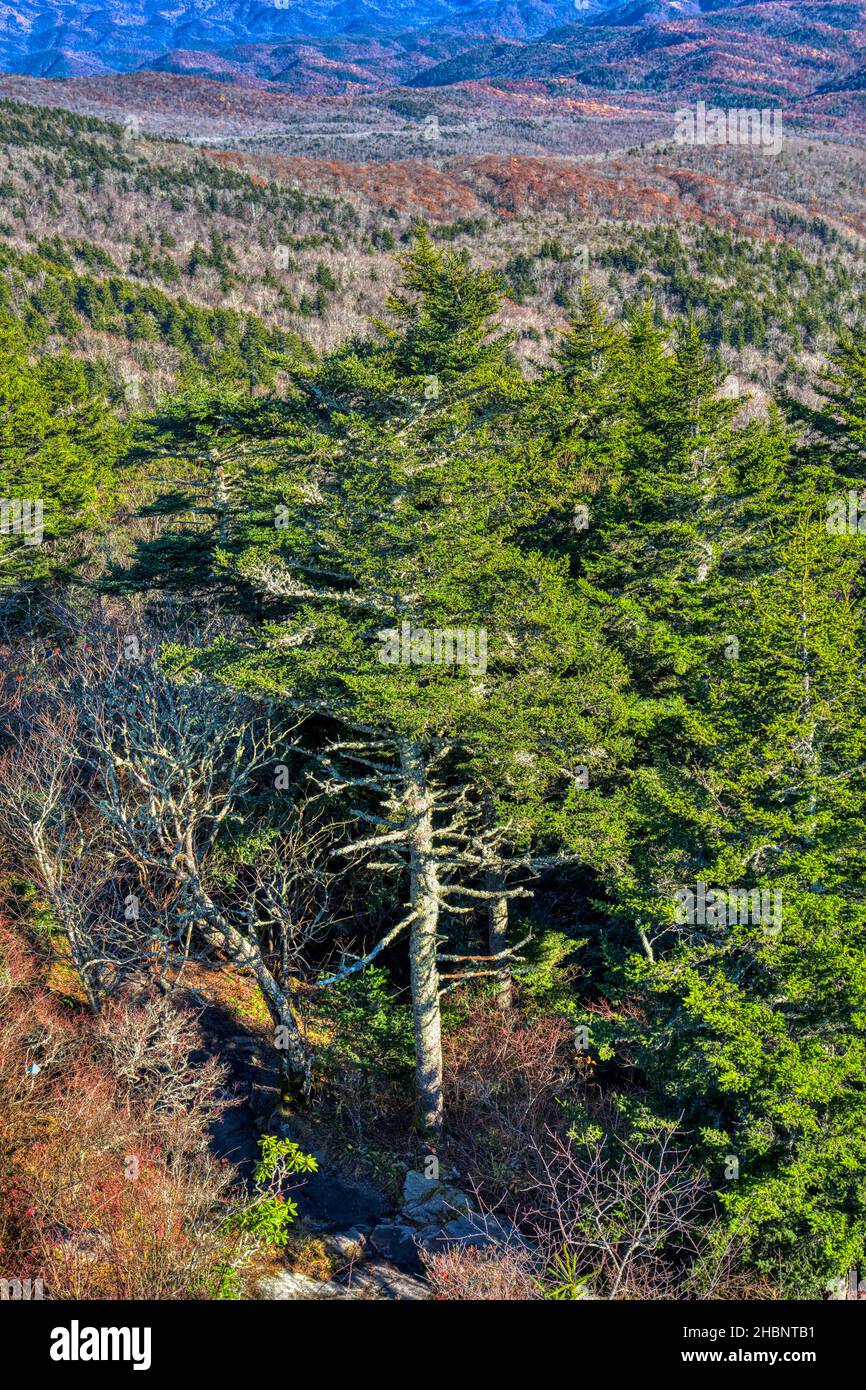 Looking down from the mile high suspension bridge on top of Grandfather ...