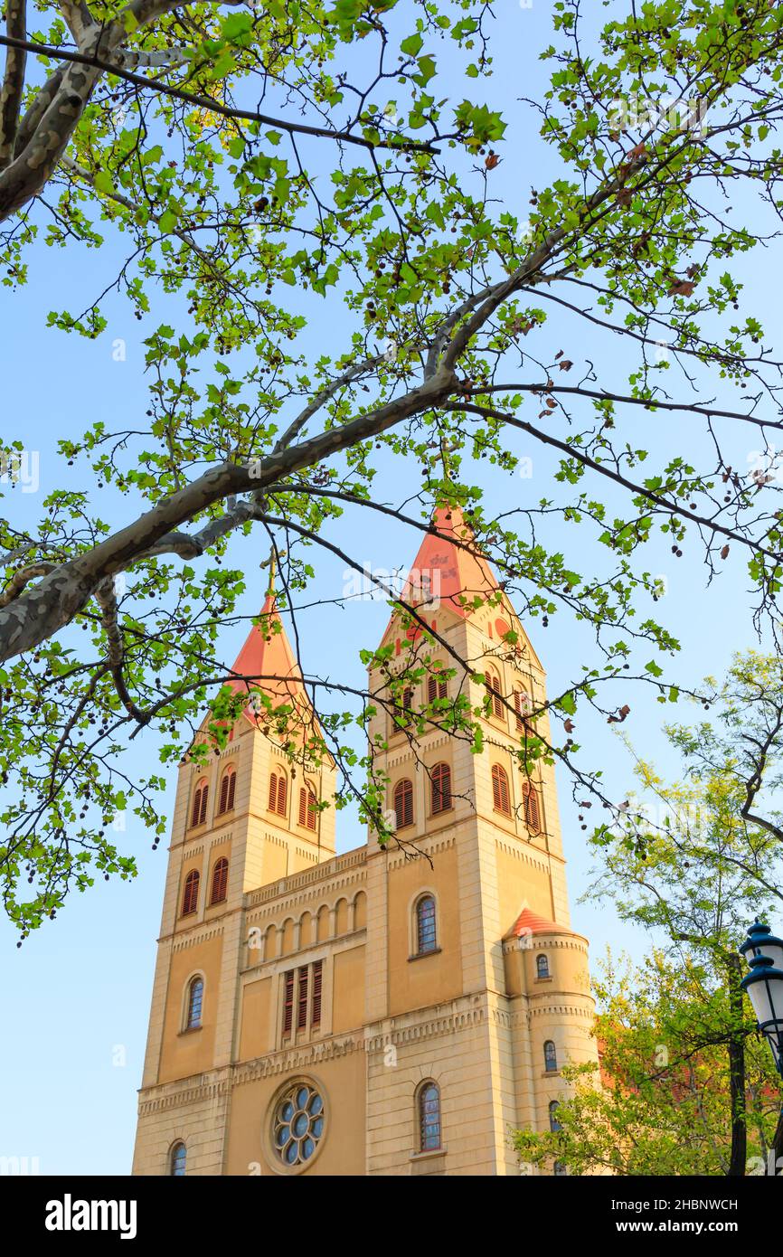 China Beijing Summer Palace misty lake and tree view Stock Photo - Alamy