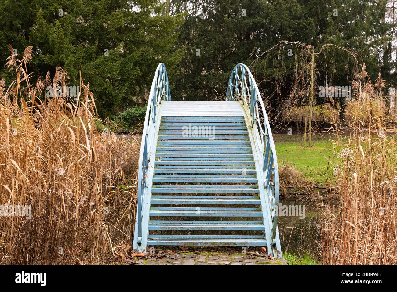 Outdoor tree trees park stairs hi-res stock photography and images - Alamy