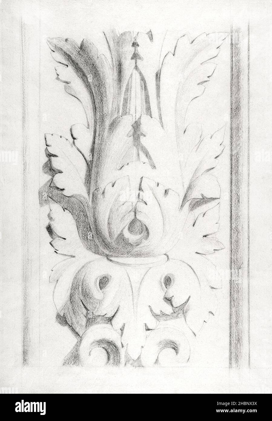 Architectural Motifs: Double Acanthus Fleuron (ca.1875) by Georges ...