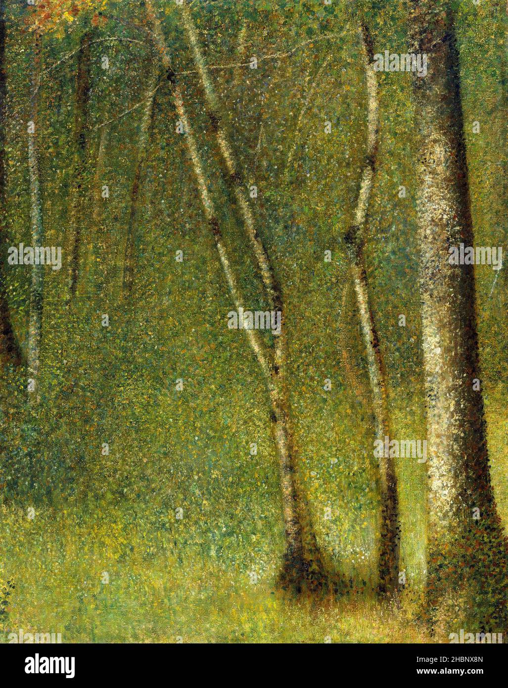 The Forest at Pontaubert (1881) by Georges Seurat Stock Photo - Alamy