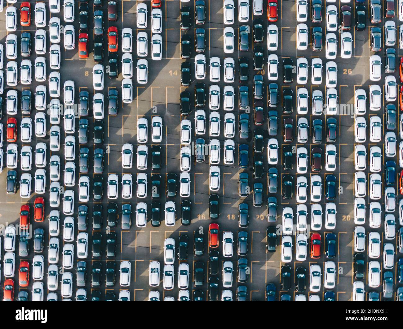 New multi-colored passenger cars stand in straight rows on a giant ...