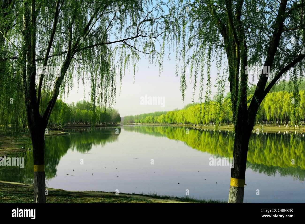 China Beijing Summer Palace misty lake and tree view Stock Photo - Alamy