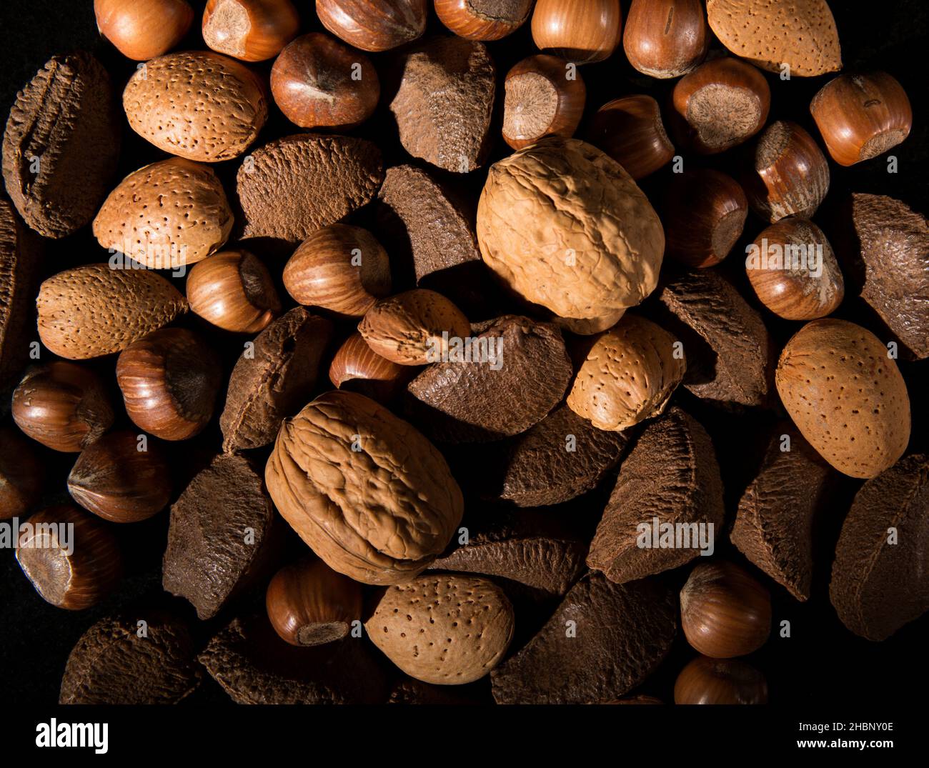 English nutshell hi-res stock photography and images - Alamy