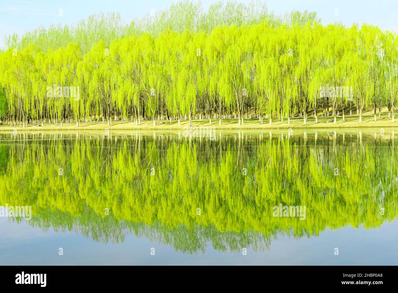 China Beijing Summer Palace misty lake and tree view Stock Photo - Alamy