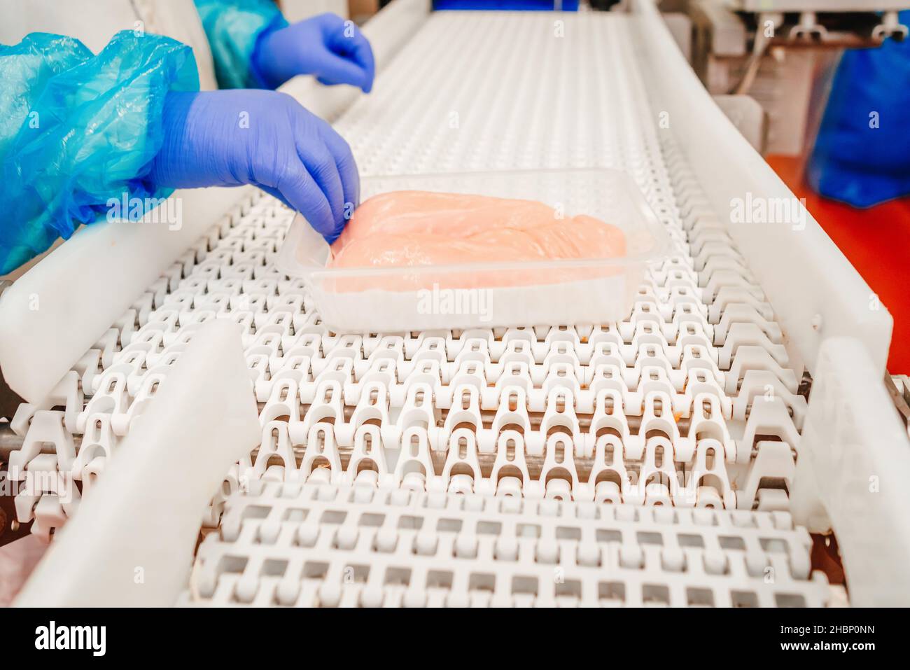 Automated production line with packaging and cutting of meat in modern ...