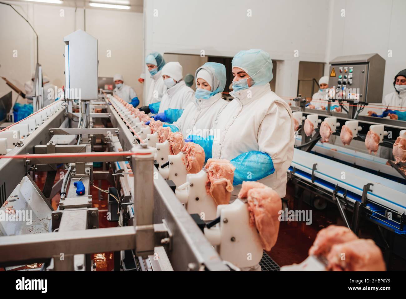 Chicken fillet production line . Factory for the production of food ...